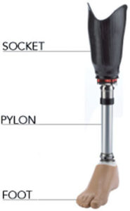» What Makes Up A Prosthesis: Components Lower Extremity Innovative ...